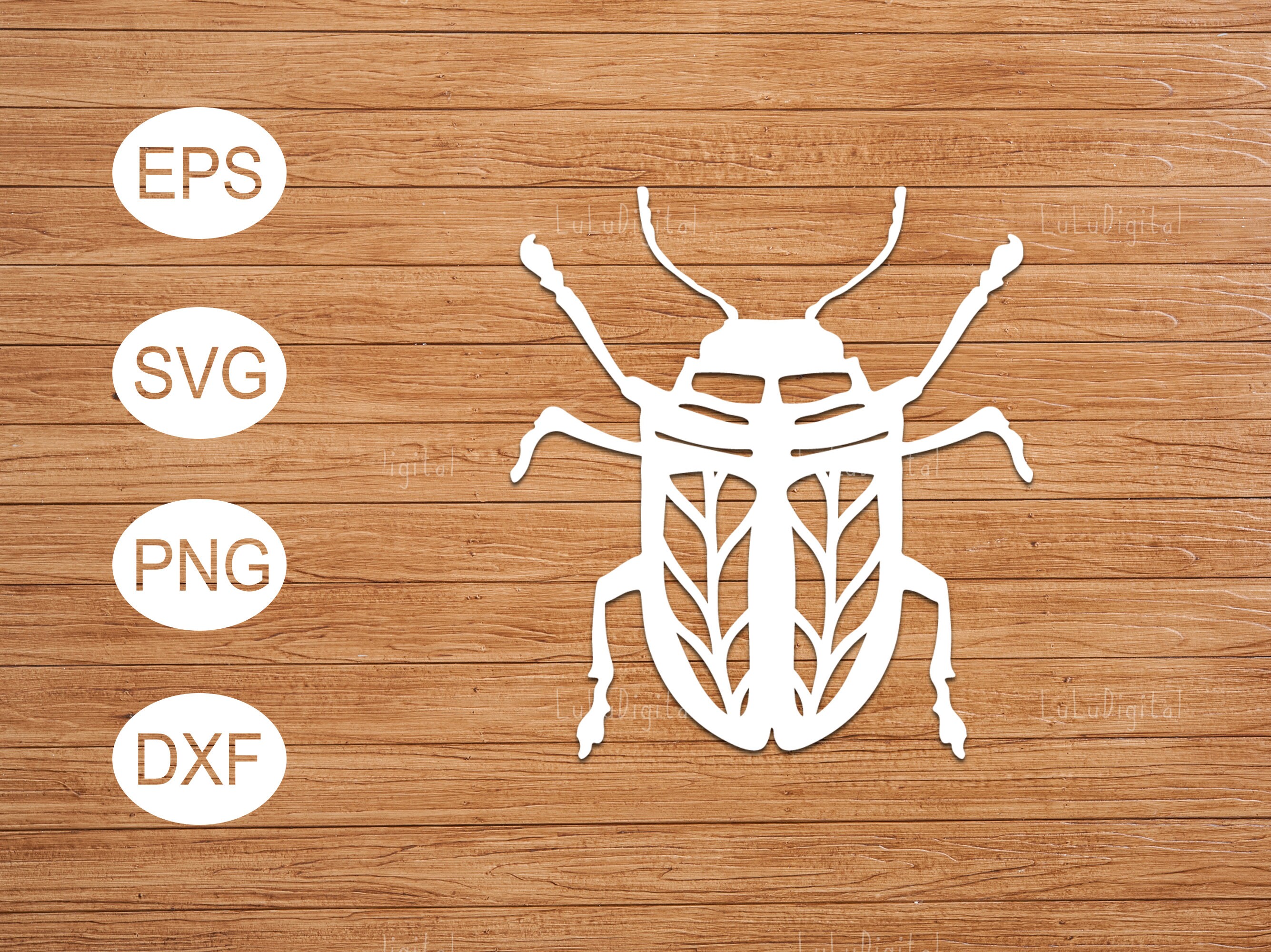 Insect Svg / Bug Svg / Bug Silhouette / Svg, Png, Dxf, Eps - Etsy