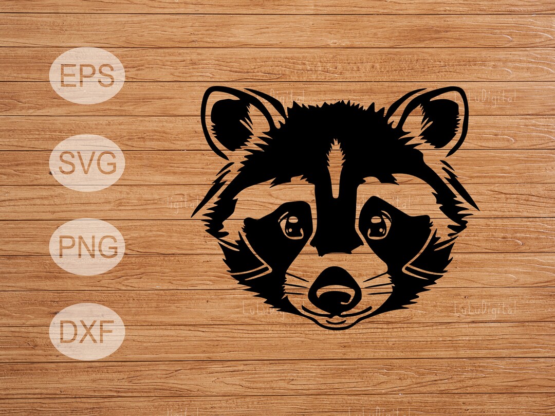 Raccoon, Raccoon Svg, Raccoon Png, Raccoon Printable, Animal Cut File ...