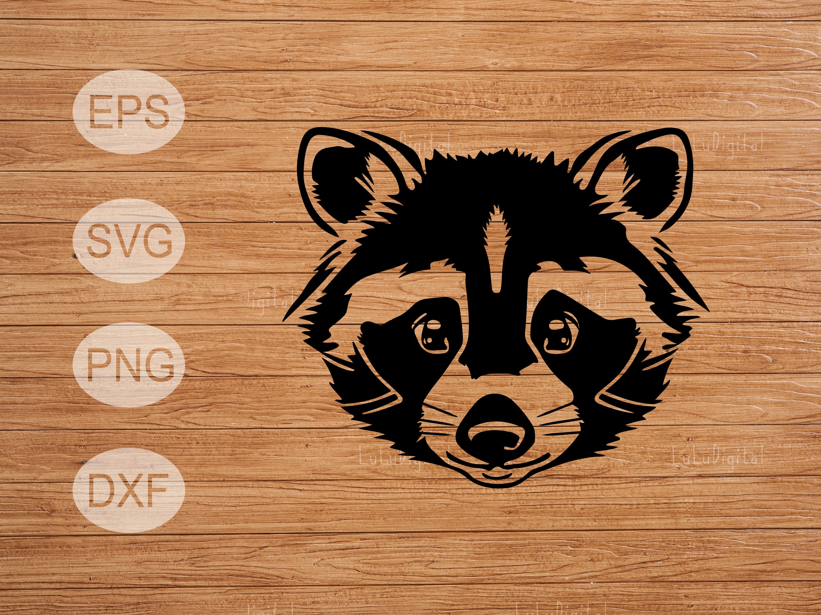 Raccoon, Raccoon Svg, Raccoon Png, Raccoon Printable, Animal Cut File ...
