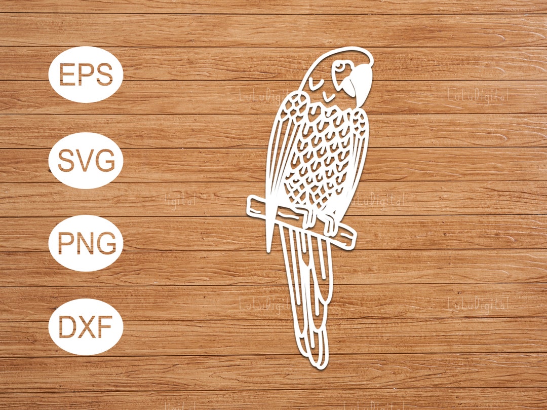 Silhouette of Parrot / Svg Files for Cricut, Parrot Cut File / Svg, Png ...