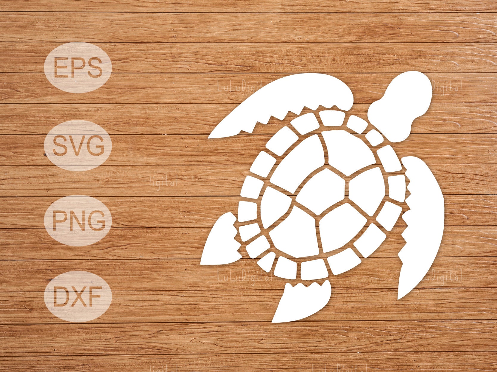 Seaturtle Sea Turtle Sea Turtle Svg Turtle Turtle Cricut - Etsy Australia