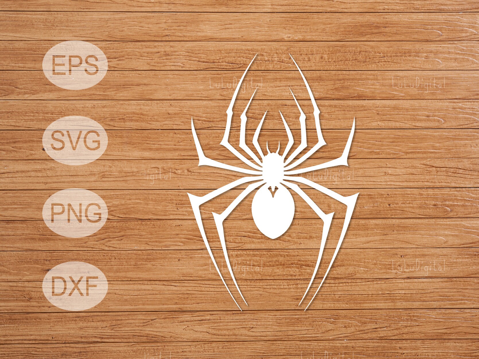 Spider, Spider Cut File, Spider Vector, Svg, Png, Dxf, Eps, Instant ...