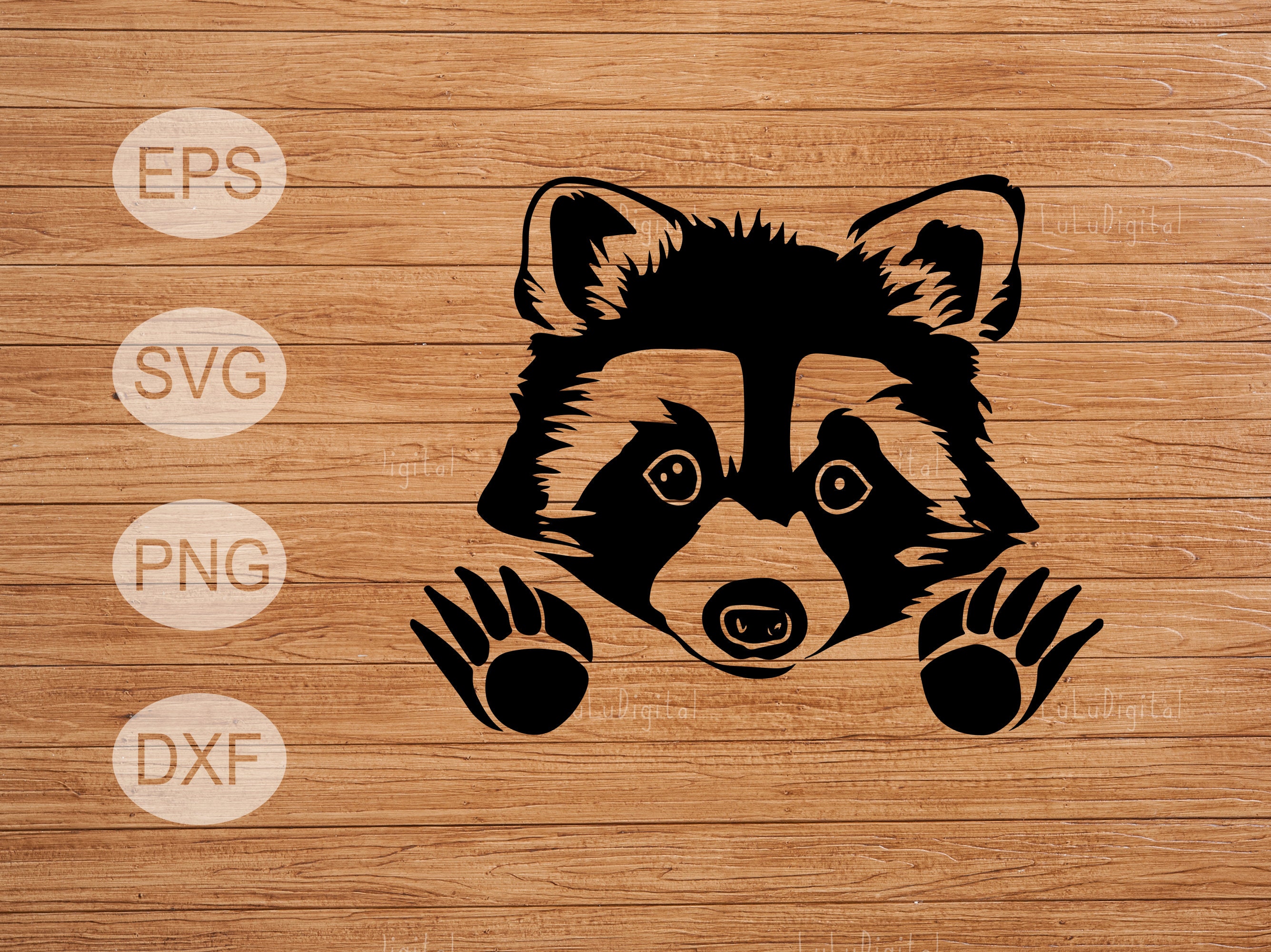 Raccoon Face Svg, Raccoon Silhouette, Raccoon Cut File, Raccoon Clipart ...