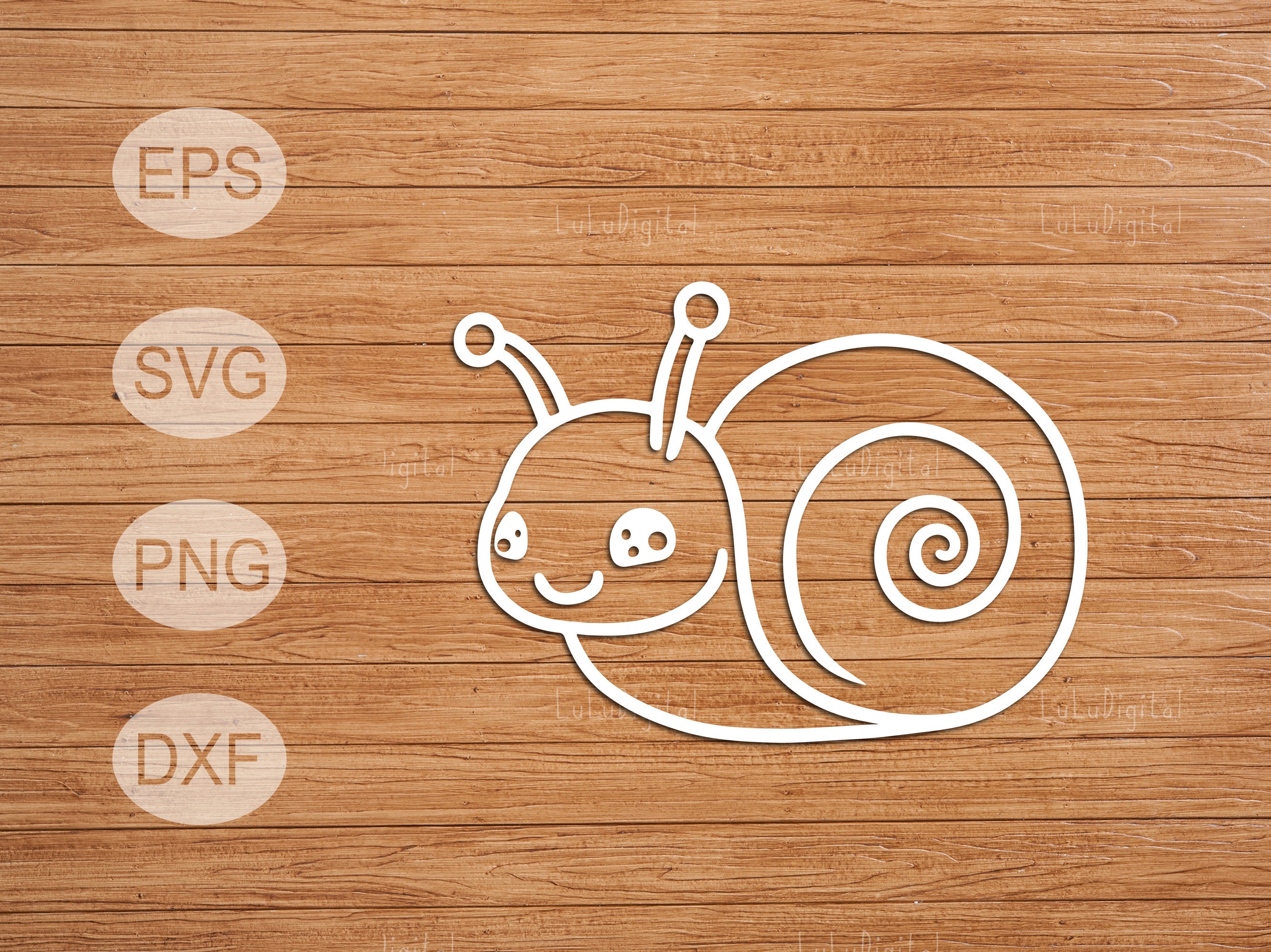 Snail Svg, Snail Png, Snail Clipart, Snail Cut File, Vector, Cricut ...