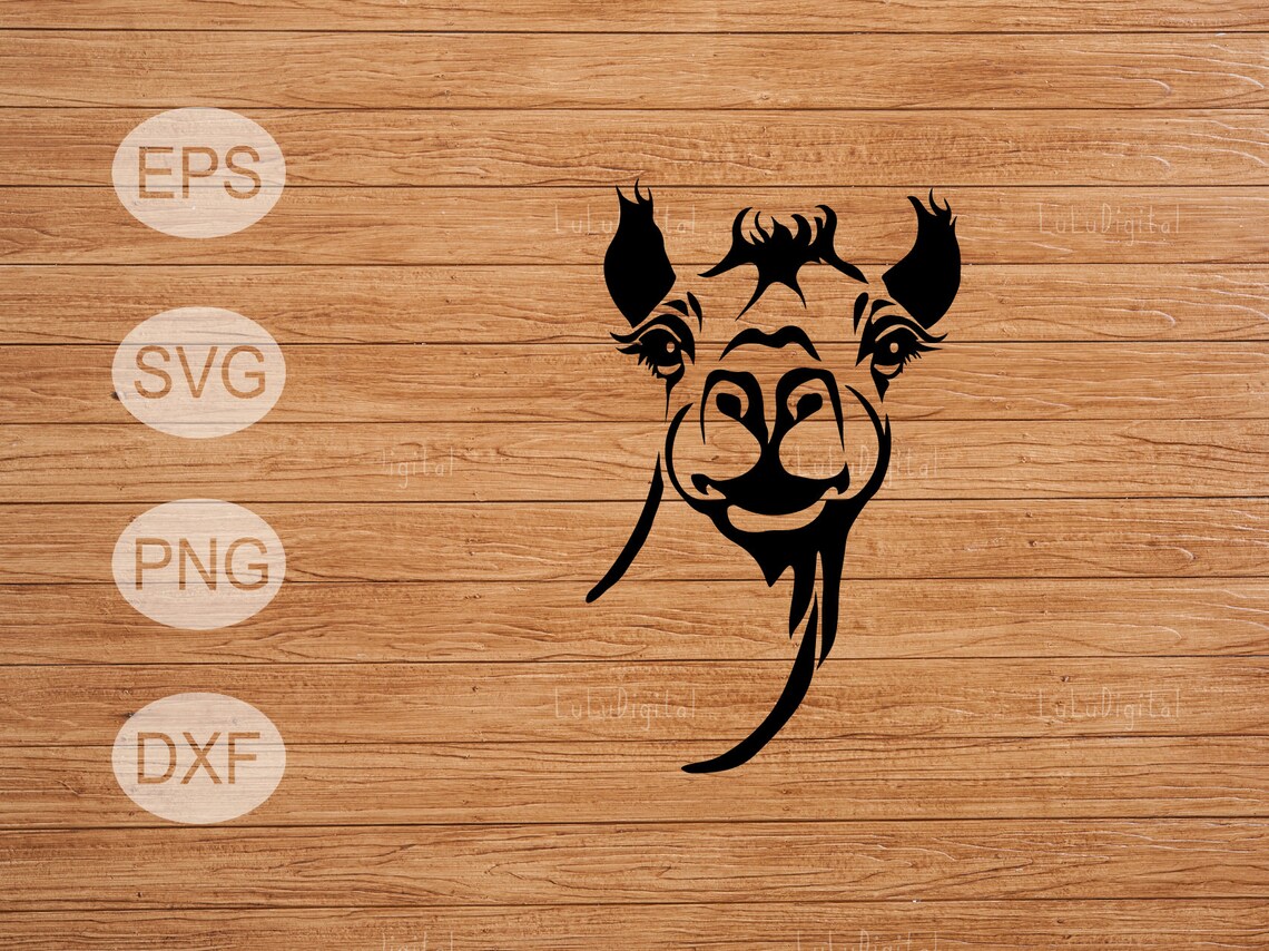 Camel Face, Camel Svg, Vector, Svg, Eps, Png, Dxf, Instant Download - Etsy