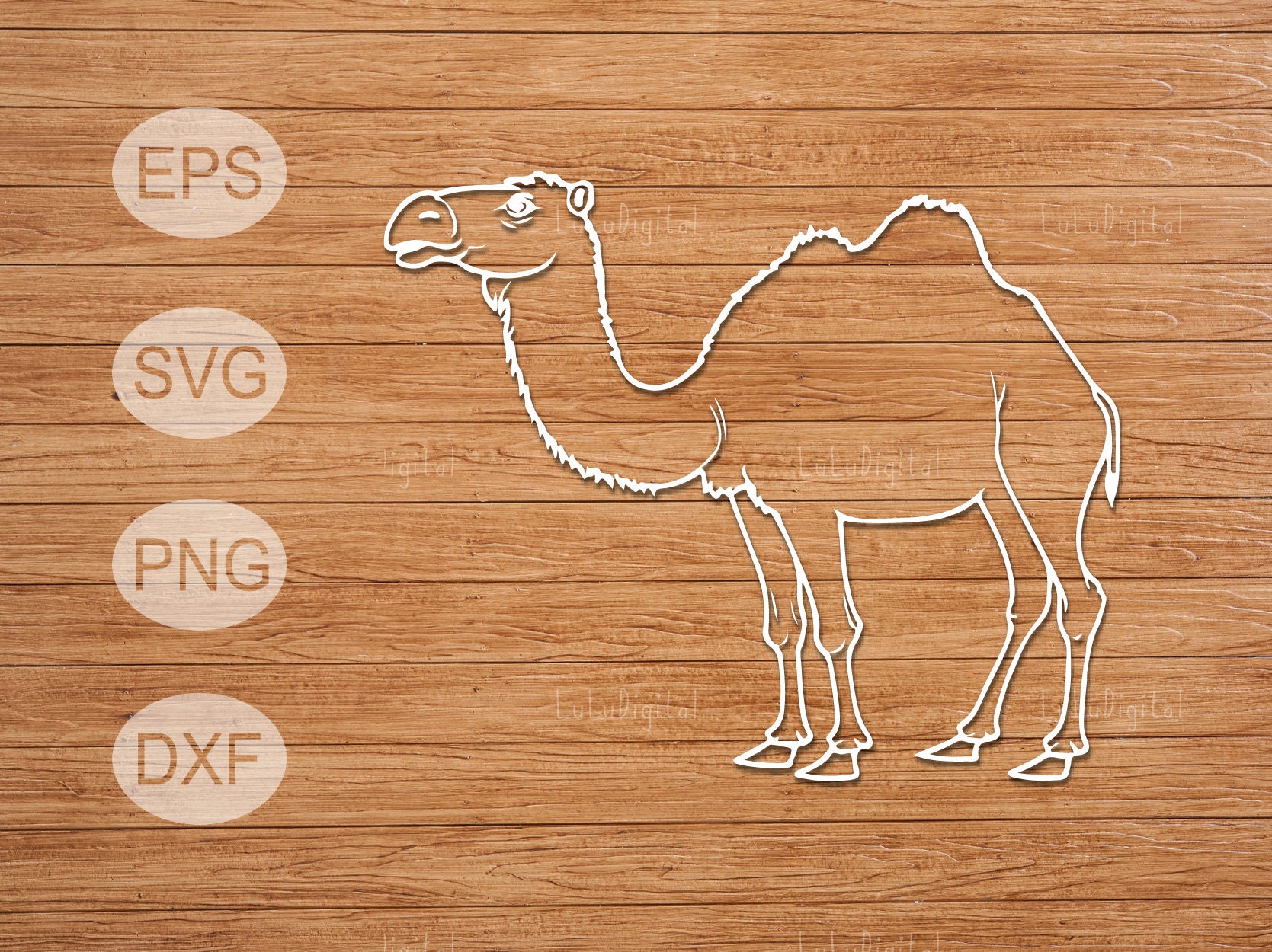 Camel, Camel Svg, Clipart, Desert Camel, Svg, Eps, Png, Dxf, Instant ...