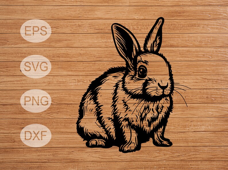 Hase, Hase svg, Oster svg, Osterhase svg, Hase svg, Hase svg - Etsy.de