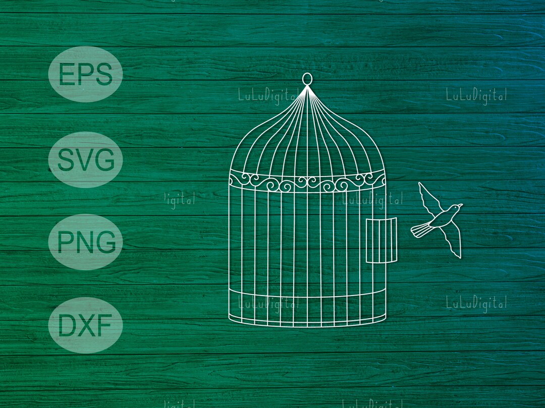 Open Bird Cage/ Bird Flying From Open Birdcage/ Bird Cage Clipart/ Free ...