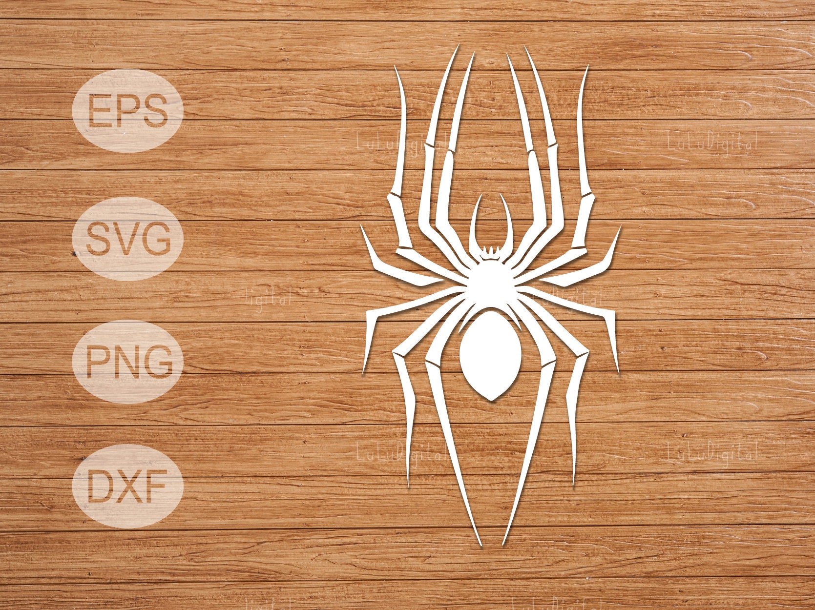 Spider Svg, Spider Cut File, Halloween, Halloween Spider, Vector Spider ...