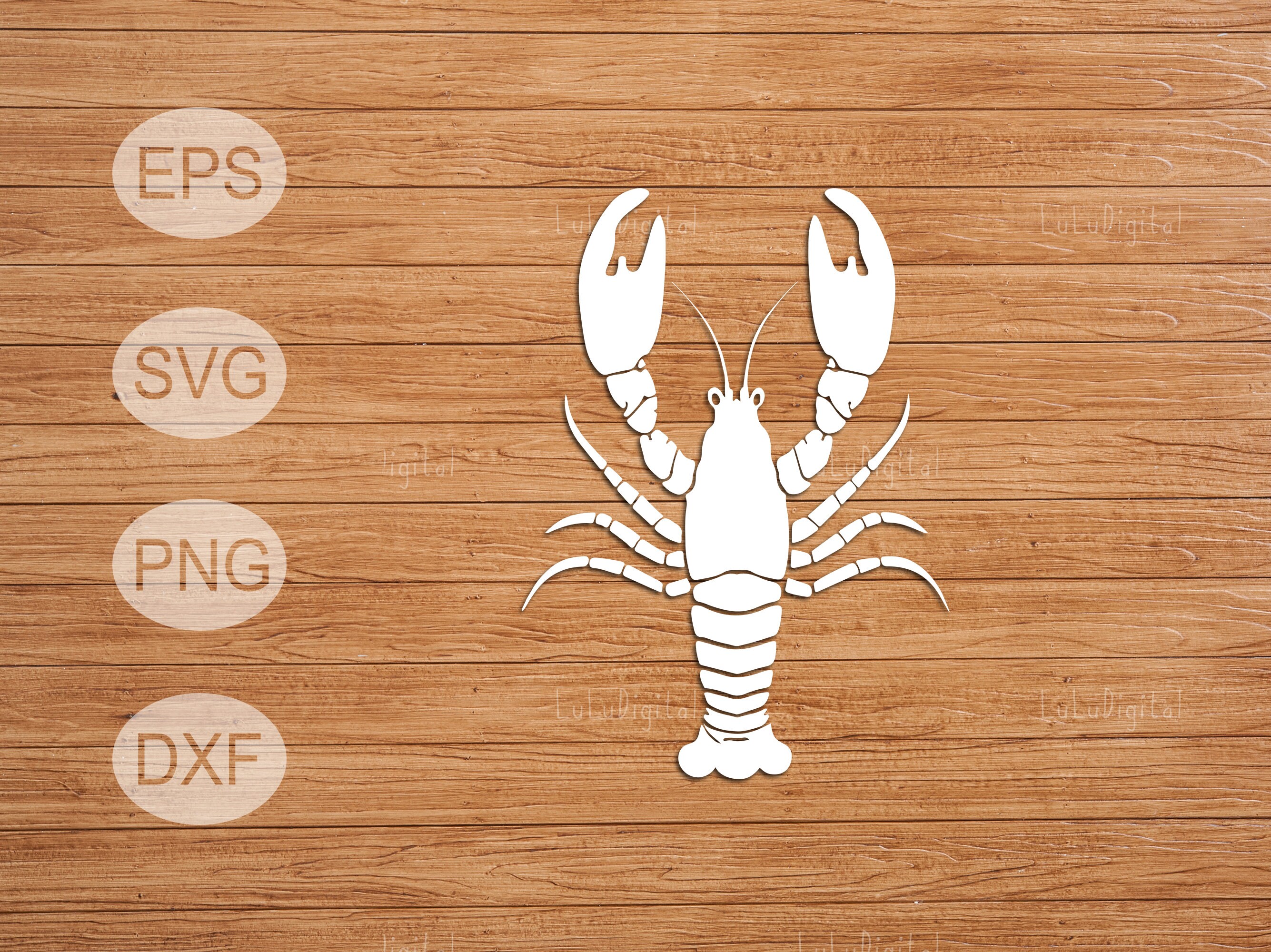 Lobster Svg Vector Lobster Lobster Cut File Instant - Etsy