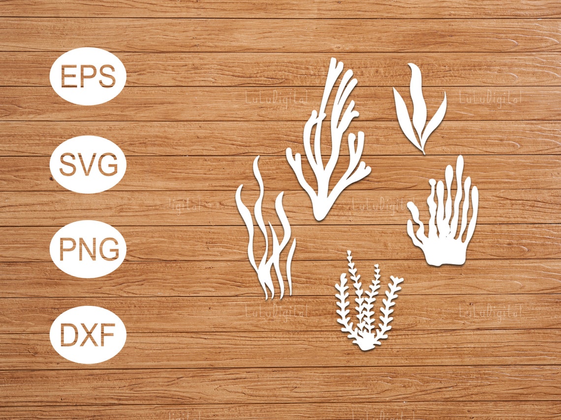 Seaweeds Svg / Seaweed Svg / Seaweed Png / Corals Svg / - Etsy