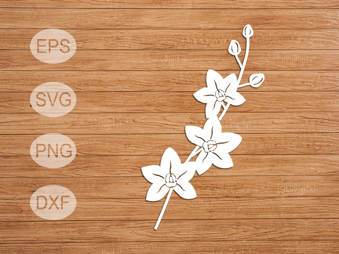 Orchid Flower Svg, Cutting Printable Orchid, SVG for Cricut and ...