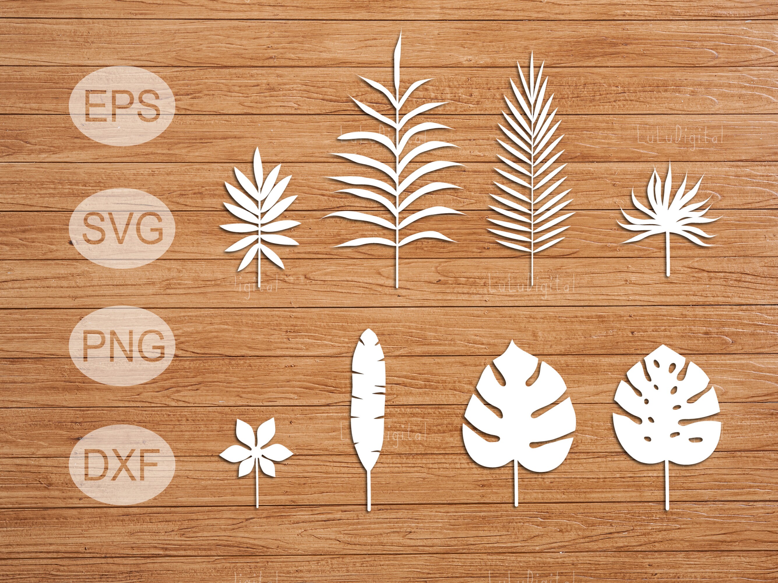 Tropical Leaves Bundle, Palm Leaf Svg Clipart, Jungle Leaves Clipart ...
