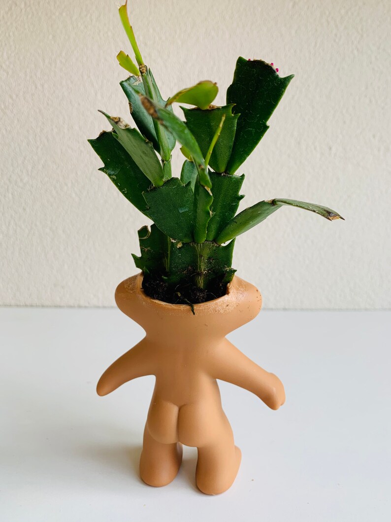 Troll Planter, Kitsch Planter, Quirky Planter for Home Office, Little ...