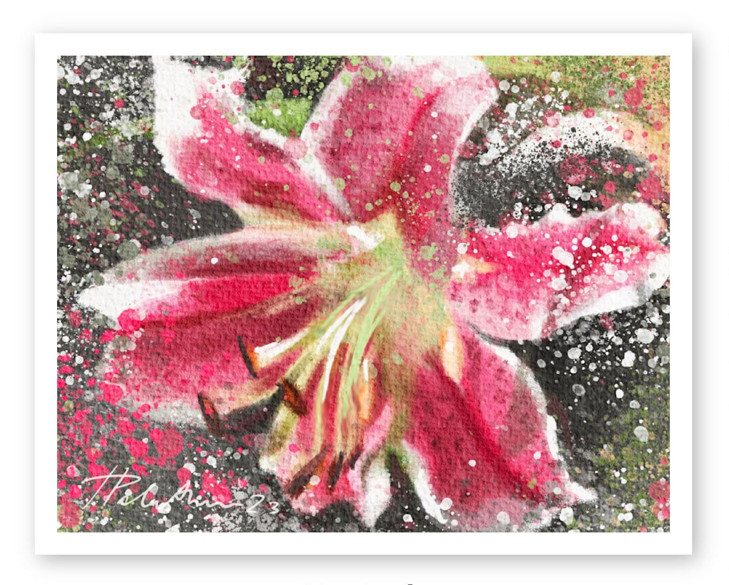 Lilly Painting Pink Lilly Print From Original Painting - Etsy