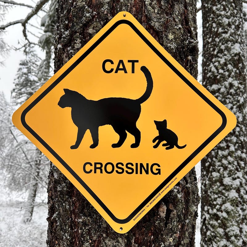 Cat Crossing - Etsy