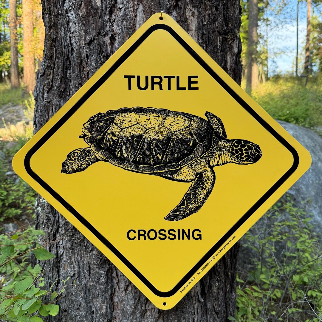 TURTLE CROSSING Sign (large 15 X 15) by Badgerworkssigns - Etsy