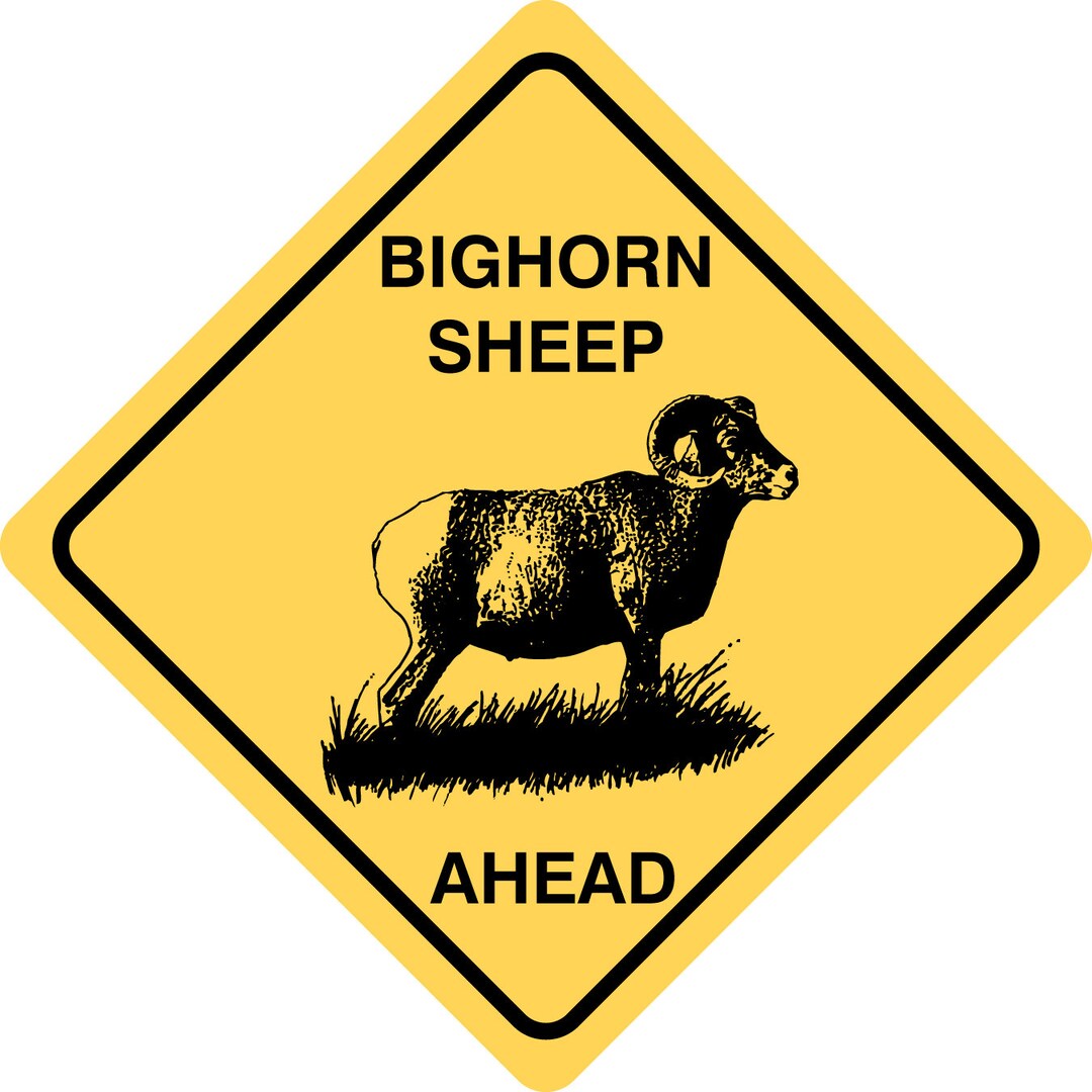 BIGHORN SHEEP AHEAD Sign - (large) - Badgerworks Signs & Designs - Etsy