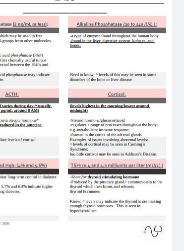 LAB Quick Reference Guide Advanced / Medical /with Free - Etsy