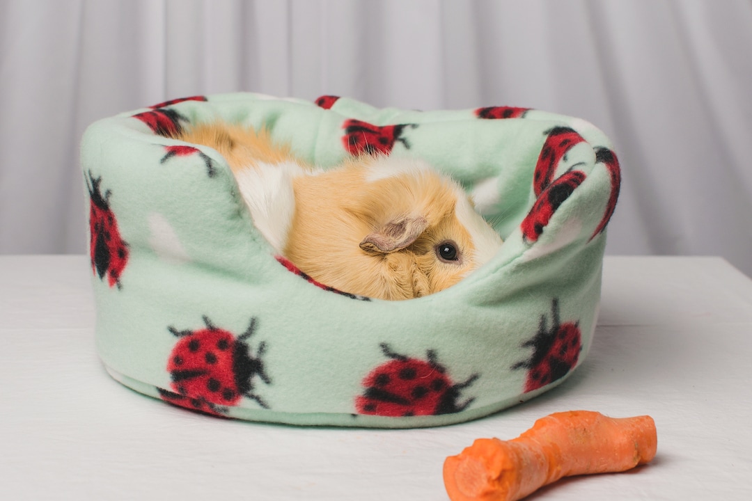 Cuddle Cup W/pee Pad | Customizable | 10"x5" - Etsy