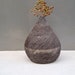 Rustic Ceramic Flower Vase, Brown and White Clay, Rough Texture , Home ...