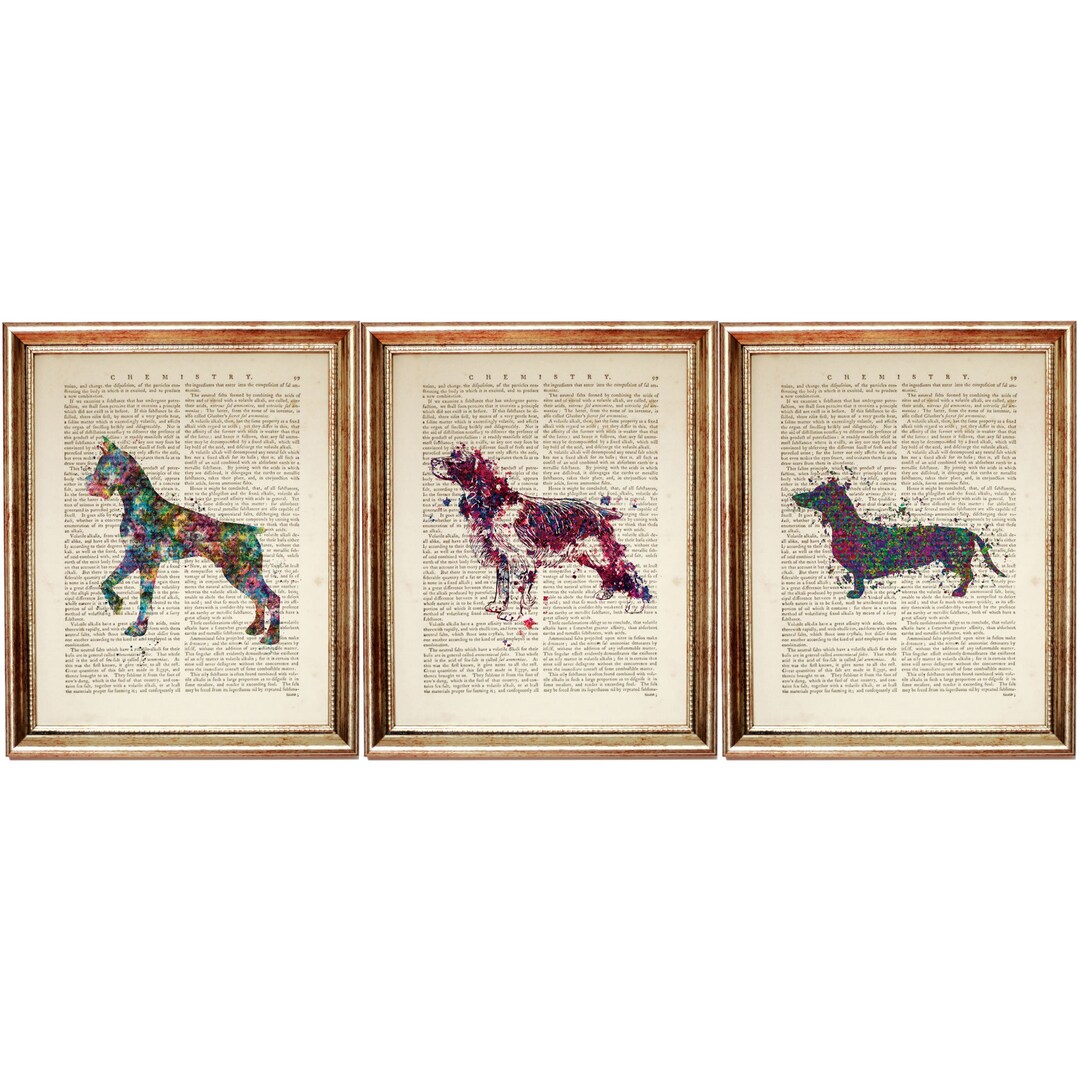 Set of 3 Prints, Colorful Dog Breed Dictionary Art Print, Dog Lover ...