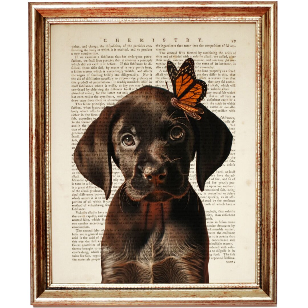 Christmas Gifts, GSP Puppy With Butterfly Dictionary Art Print, Dog ...
