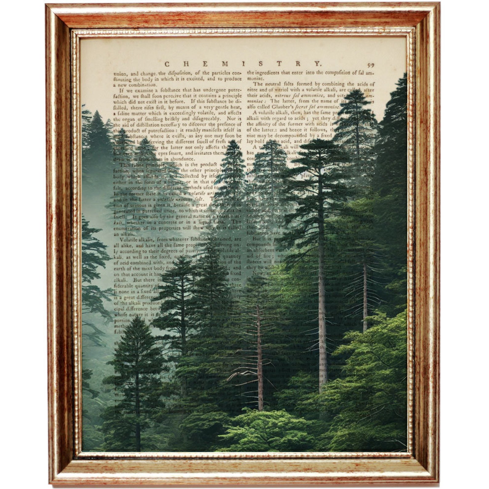 Set of 3 Forest Pine Tree Dictionary Art Prints, Nature Lover Gift ...