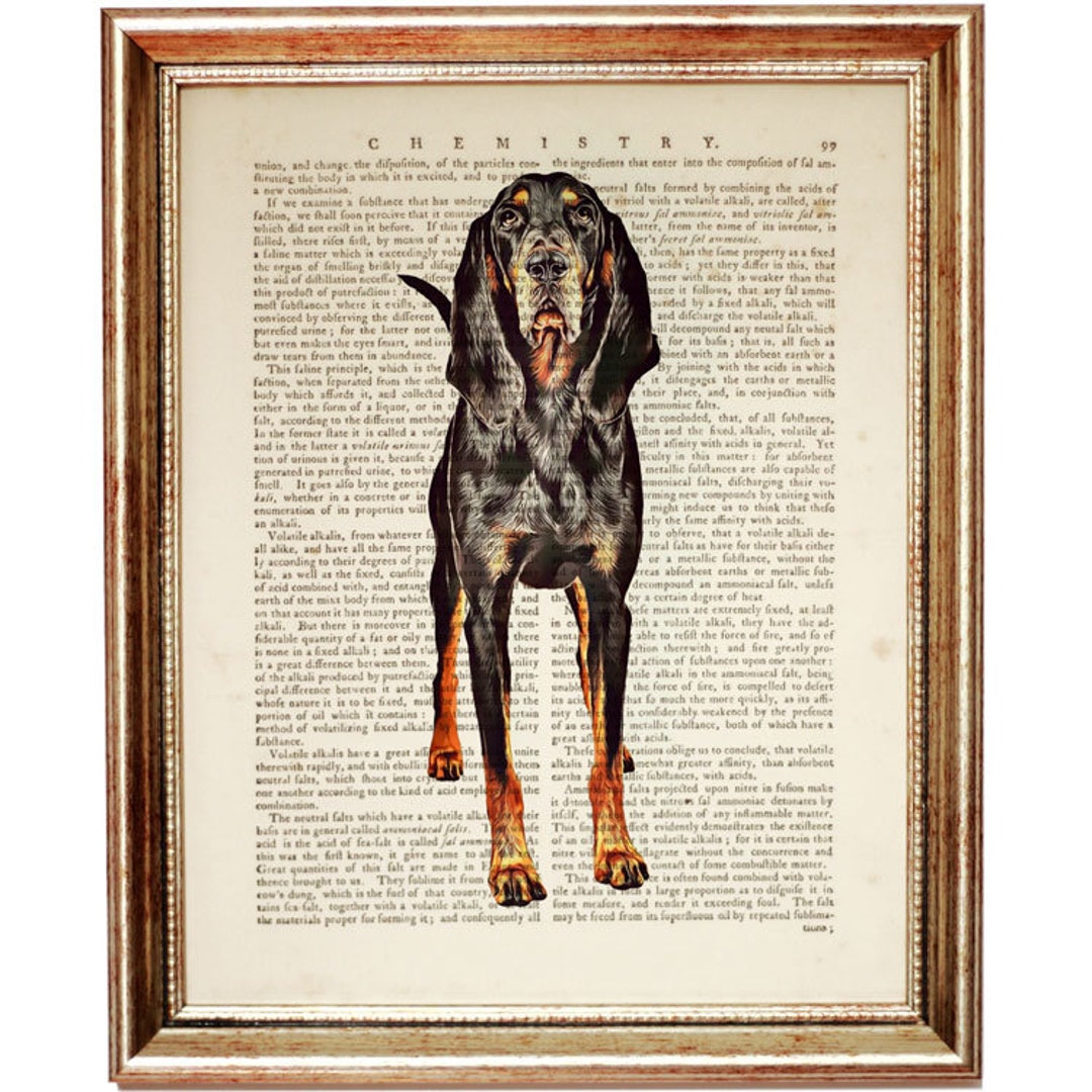 Black and Tan Coonhound Dog Dictionary Art Print, Dog Book Page Wall ...