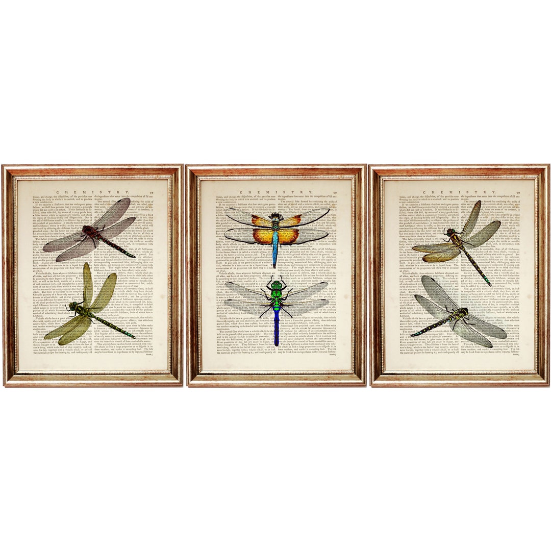 Set of 3 Art Prints, Dragonfly Wall Decor, Vintage Dragonfly Print ...