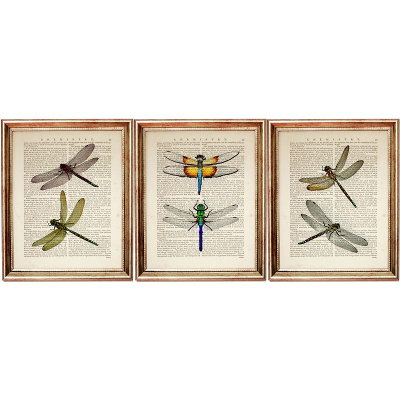 Dragonfly Art Prints - Etsy