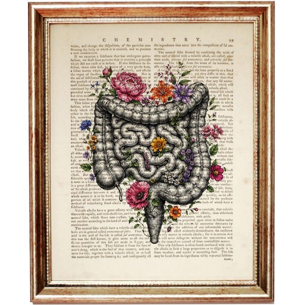 Poster Intestine - Etsy UK