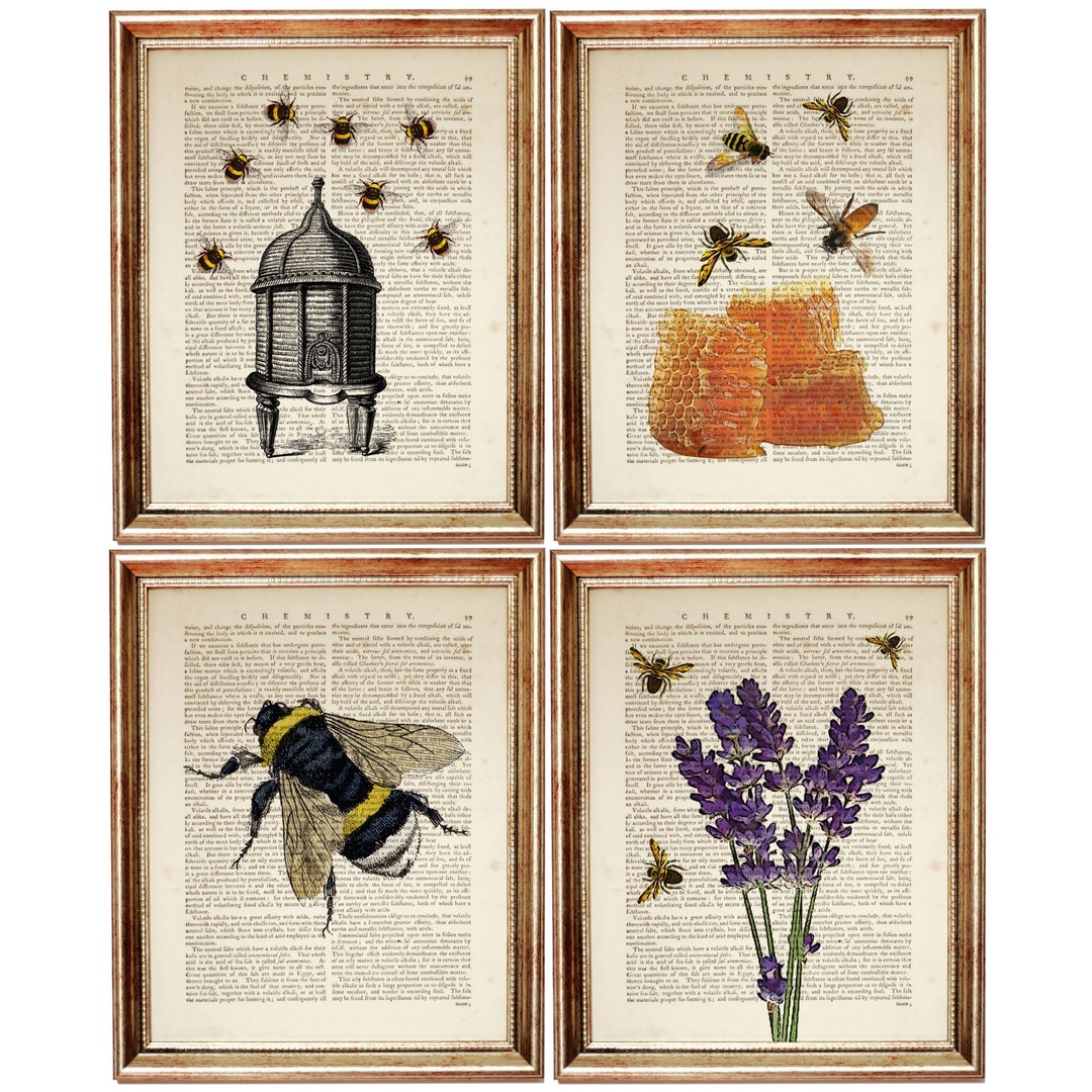 Set of 4 Bee Art Prints, Botanical Vintage Dictionary Page - Etsy