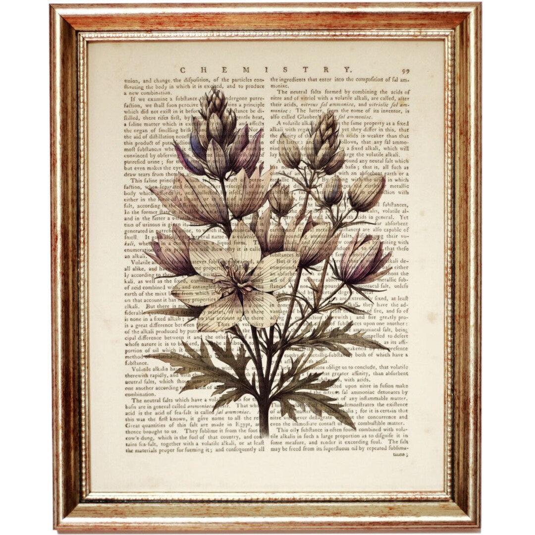 Floral Dictionary Art Print, Botanical Book Page Illustration - Etsy