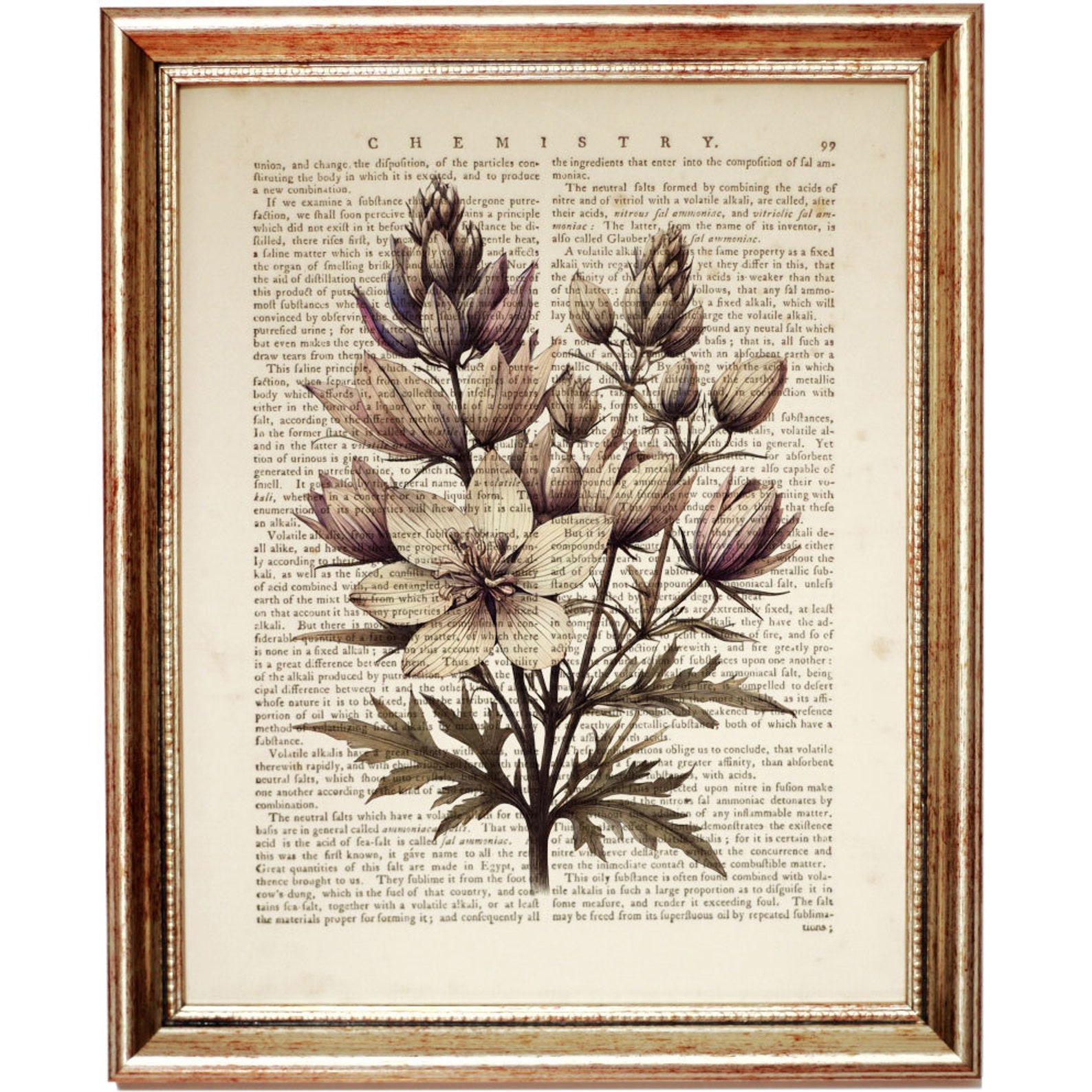 Floral Dictionary Art Print, Botanical Book Page Illustration - Etsy