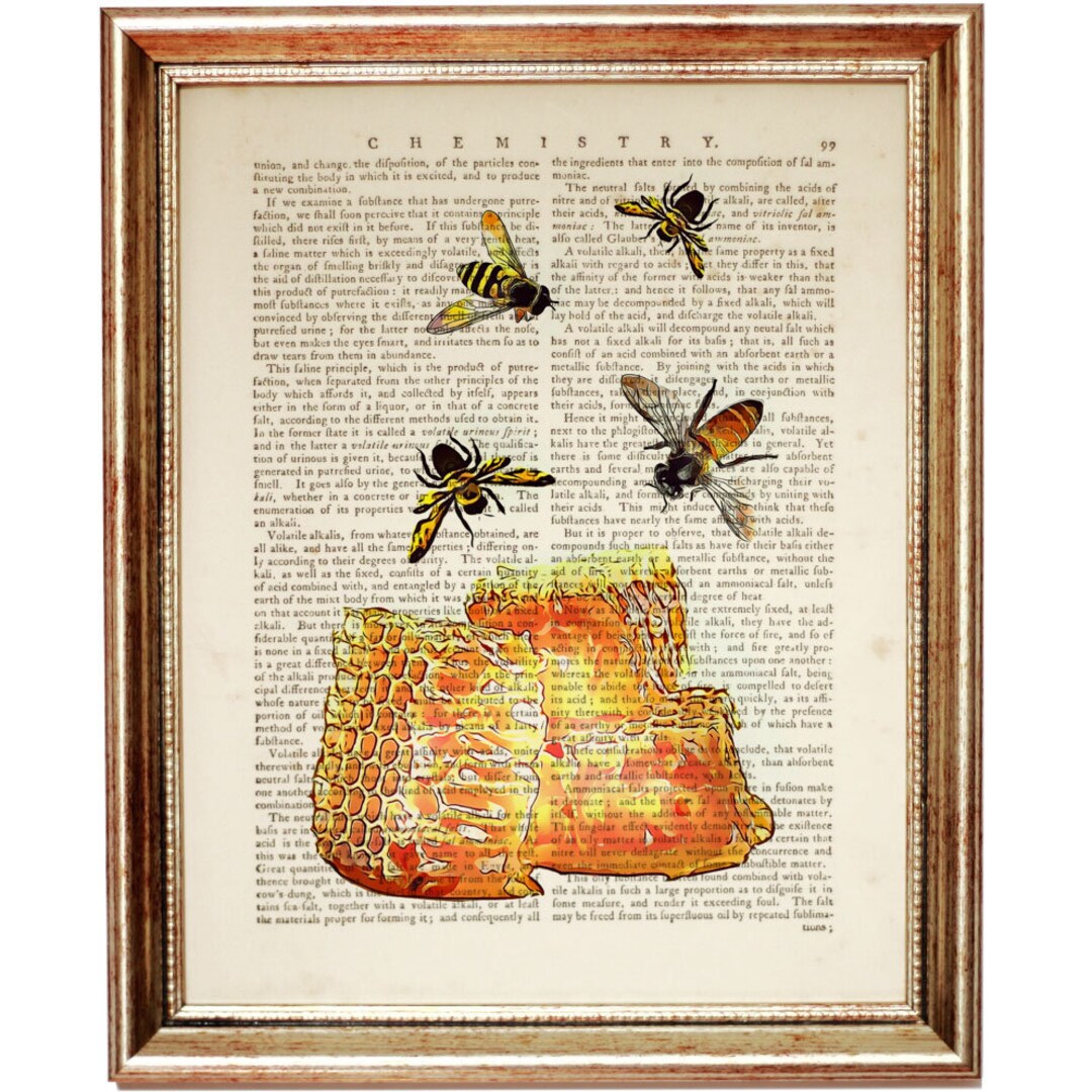 Honeycomb With Bees Wall Art, Beekeeping Dictionary Art Print, Bee ...