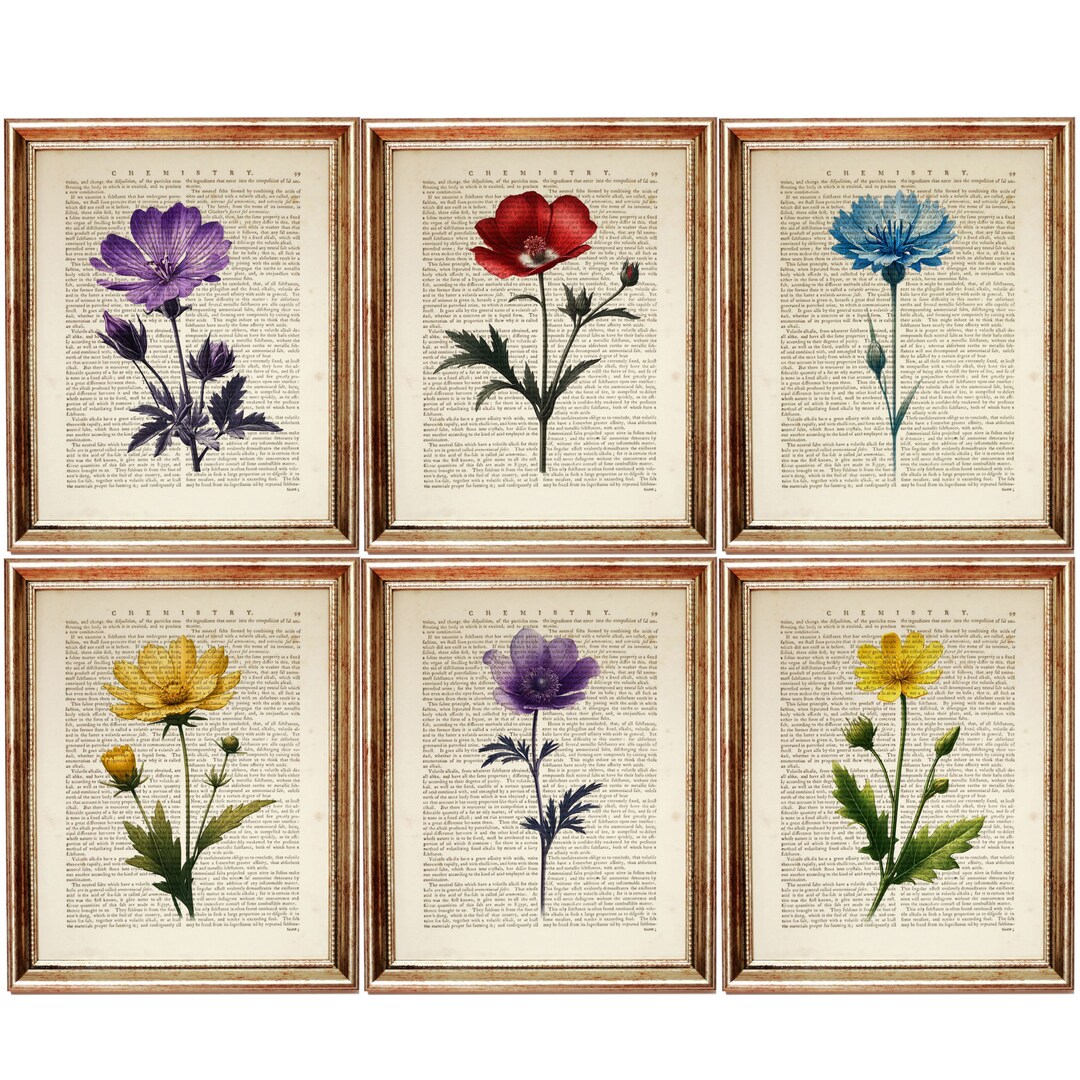 Set of 6 Vintage Wildflower Dictionary Art Prints, Botanical Dictionary ...