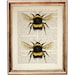 Set of 6 Art Prints, Bumble Bee Wall Hanging, Bee Wall Decor, Bumblebee ...