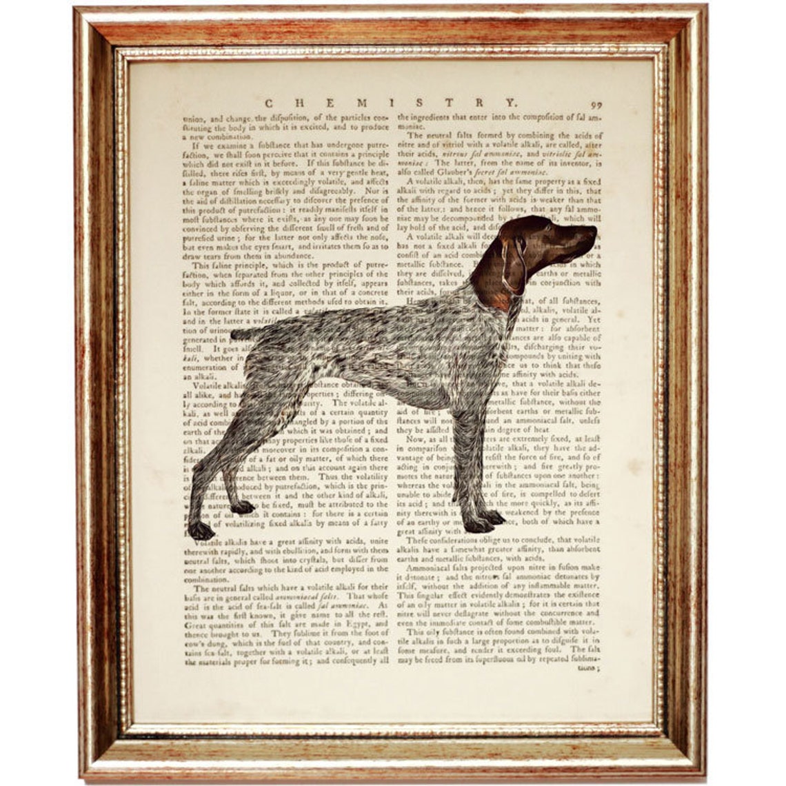 German Shorthaired Pointer Wall Art, GSP Print, Pointer Dog Dictionary ...