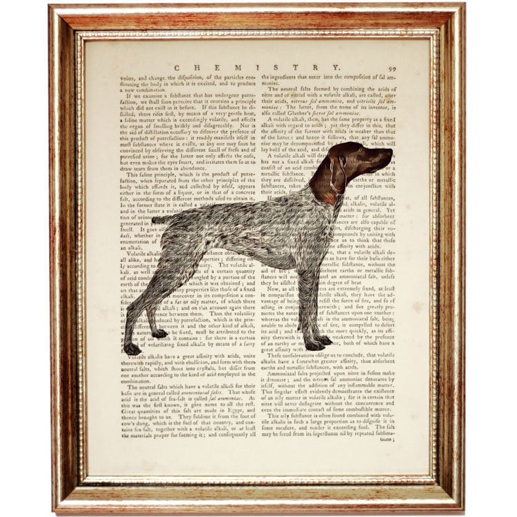 German Shorthaired Pointer Wall Art GSP Print Pointer Dog - Etsy