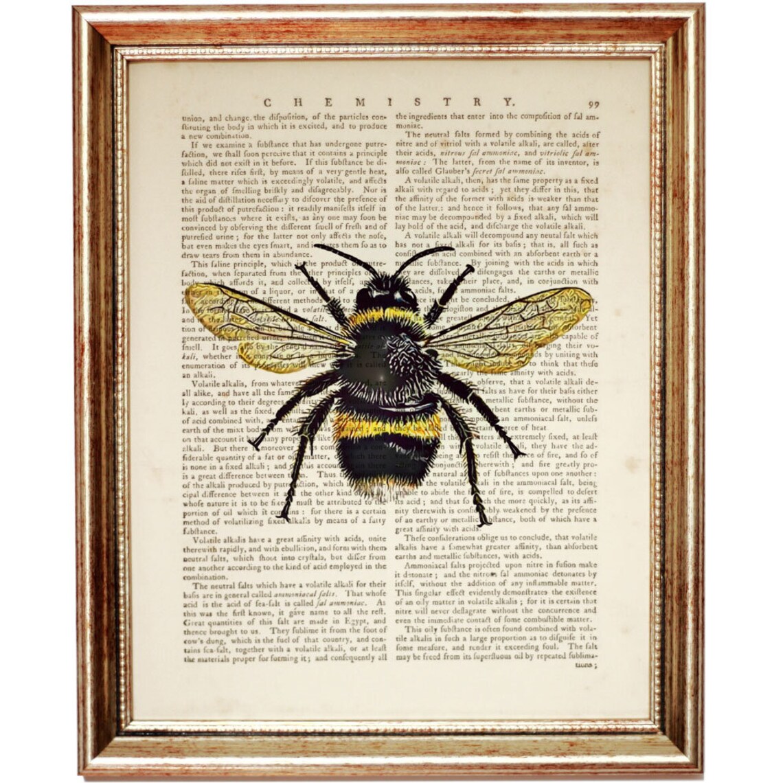 Set of 4 Prints Bumble Bee Wall Art Bumblebee Nursery Decor | Etsy