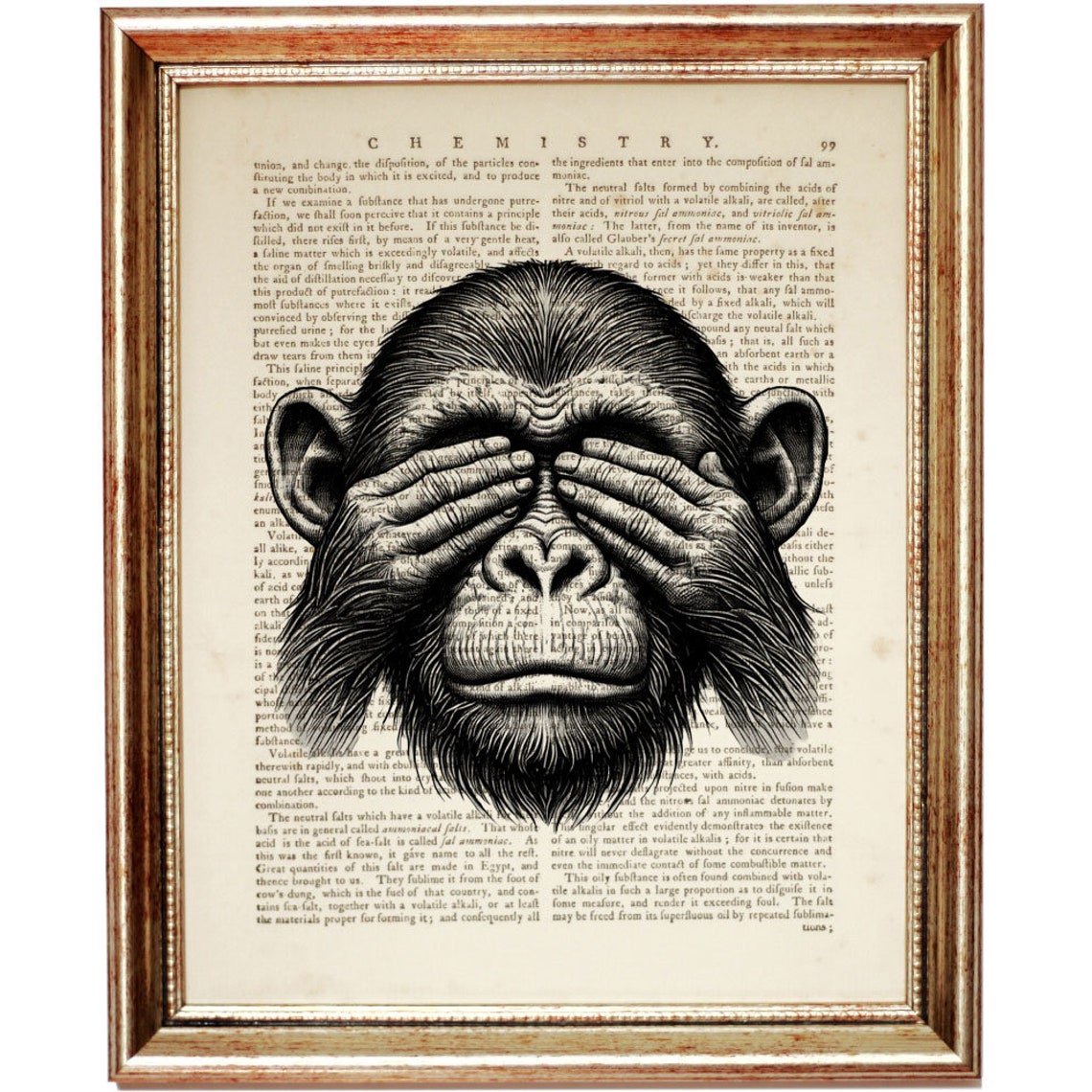 Three Wise Monkeys Dictionary Art Print Set, See No Evil, Hear No Evil ...