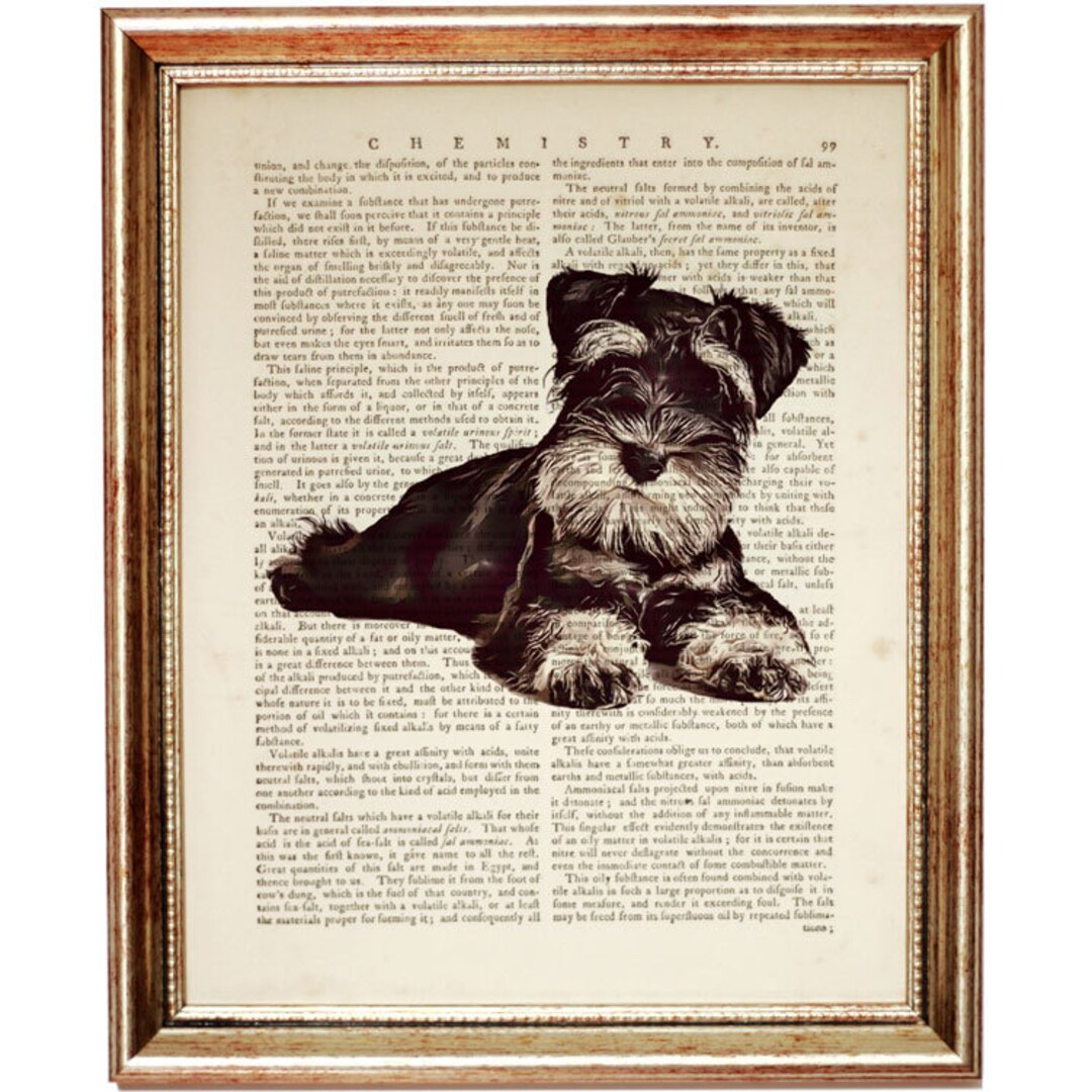 Miniature Schnauzer Art, Schnauzer Dog Dictionary Art Print, Dog ...