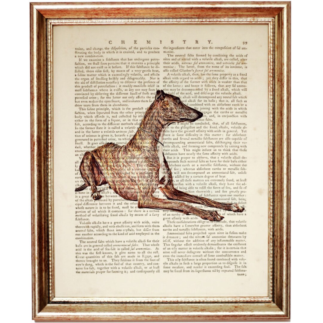 Greyhound Dog Dictionary Art Print, Greyhound Illustration Artwork, Dog ...