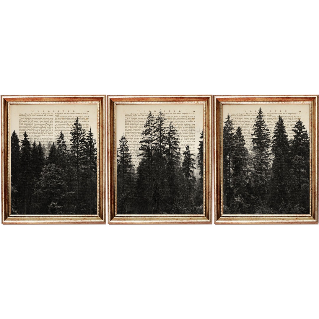 Rustic Forest Tree Wall Art, Set of 3 Prints, Pine Trees Vintage Book ...
