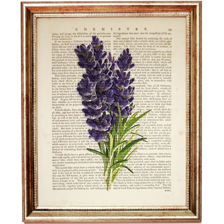 Set of 4 Lavender Botanical Dictionary Art Prints, Vintage Floral Wall ...