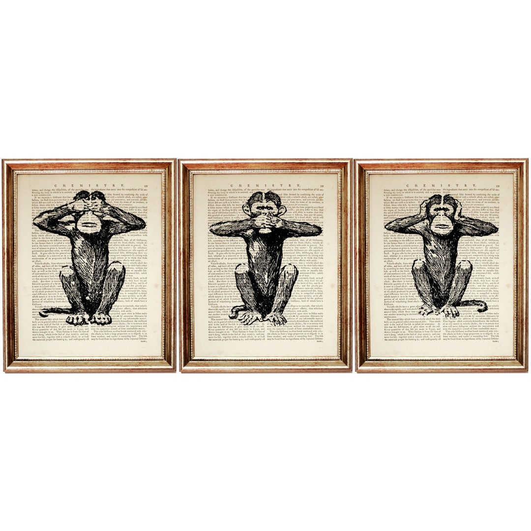 Set of 3 Prints Three Wise Monkeys, 3 Wise Monkeys, See No Evil, Hear ...