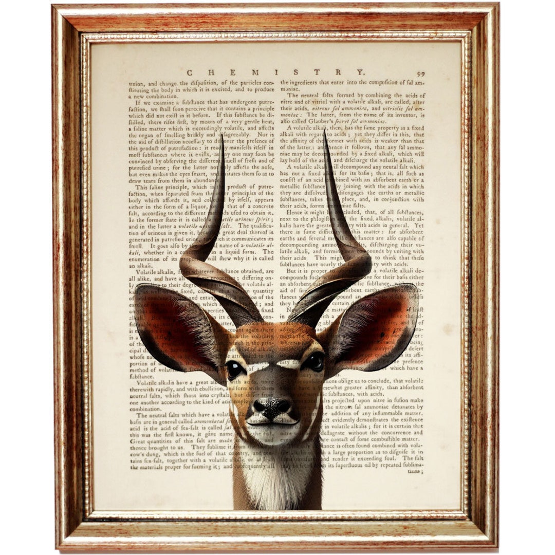 Christmas Gifts, Antelope Art Print, Animal Portrait Dictionary Art ...