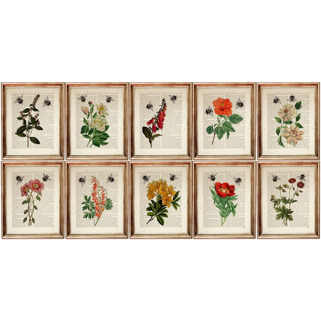 Set of 10 Print, Vintage Botanical Dictionary Art Prints, Floral Book ...
