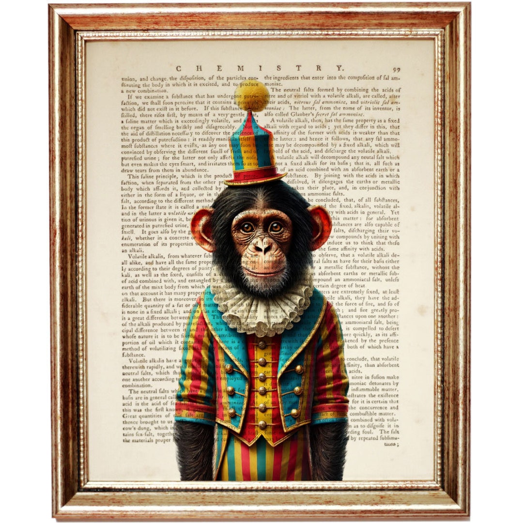 Circus Chimpanzee Art Print on Vintage Dictionary Page - Etsy